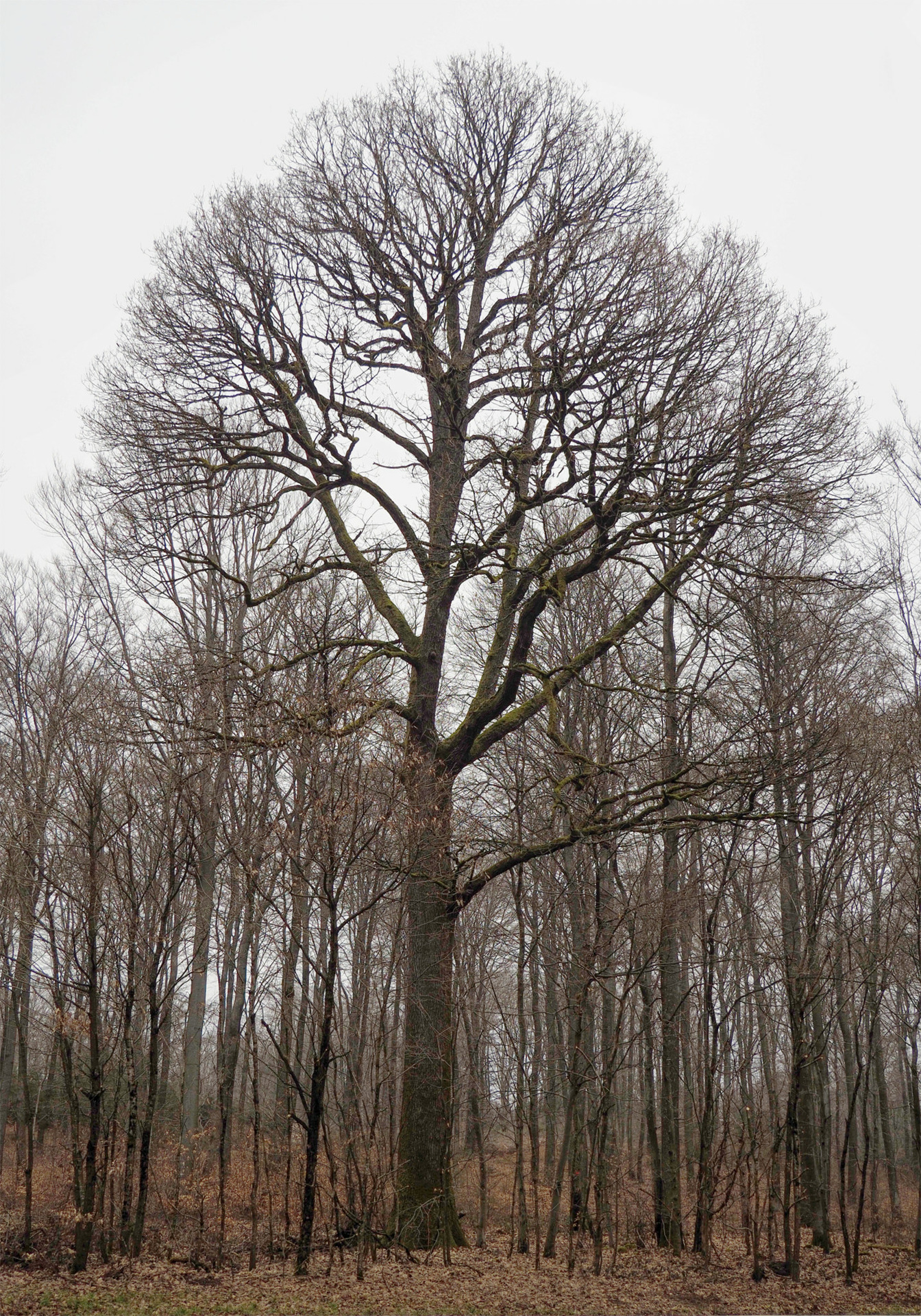 WT 10 - An der L177 - Bilder - Olympus Fotoforum | Die OM-System Community