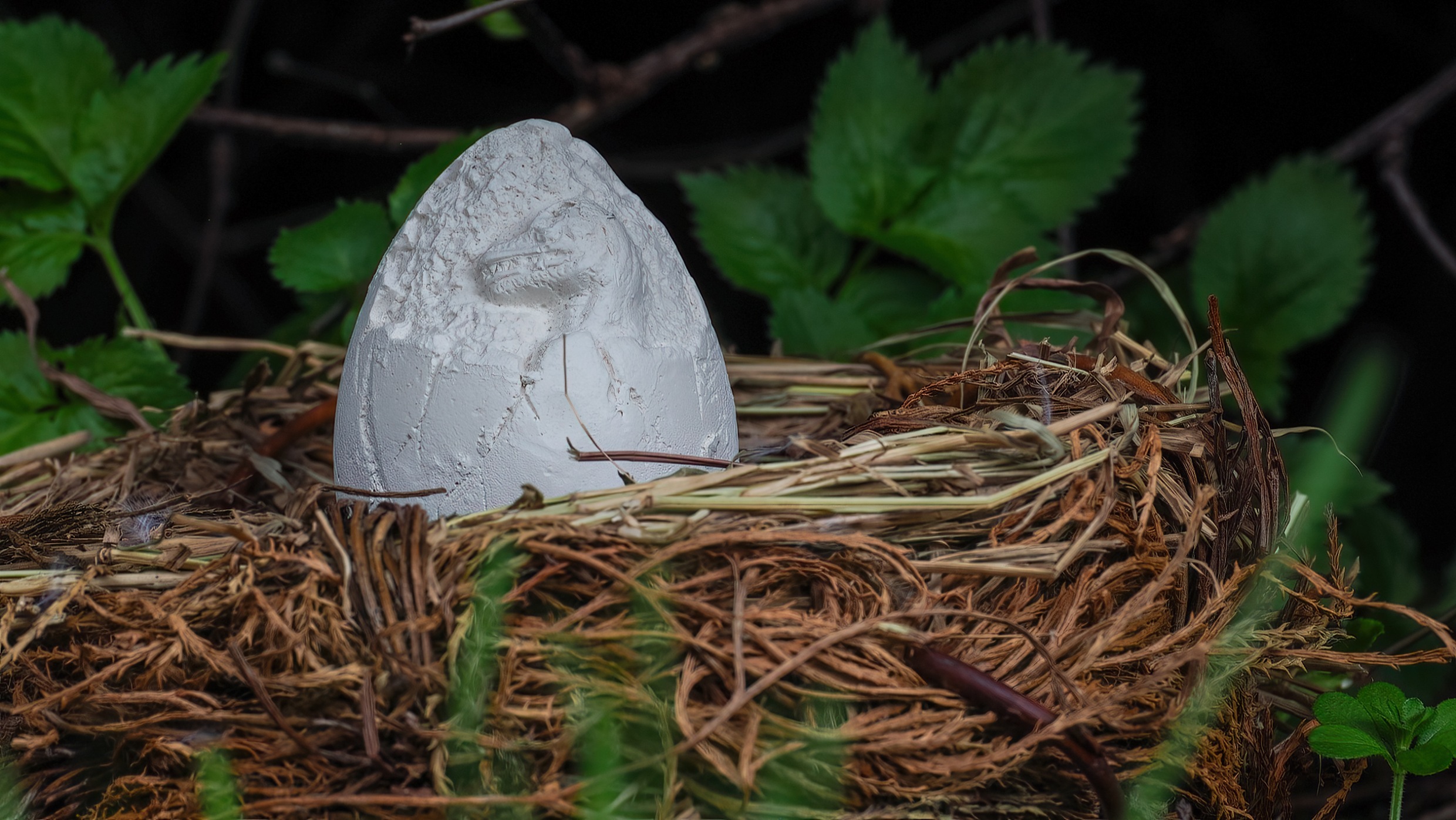 [zum mitmachen] - Ostern soll man Eier suchen ;-) - Olympus M.Zuiko ...
