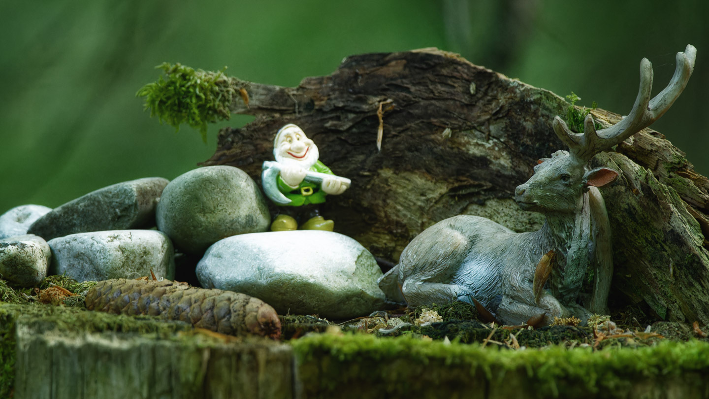 Zwerg im Schönwald - Bilder - Olympus Fotoforum | Die OM-System Community